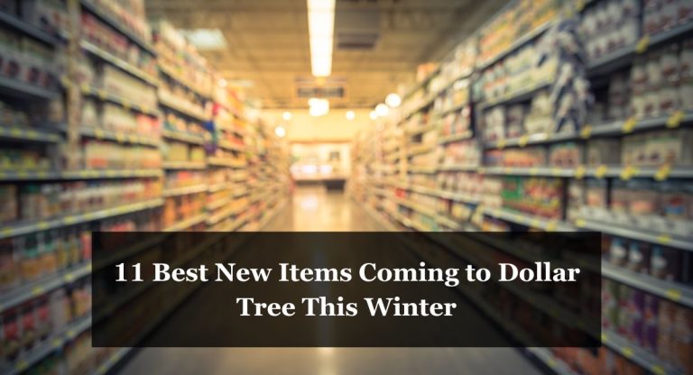 11 Best New Items Coming To Dollar Tree This Winter Lwi Custom Cabinets